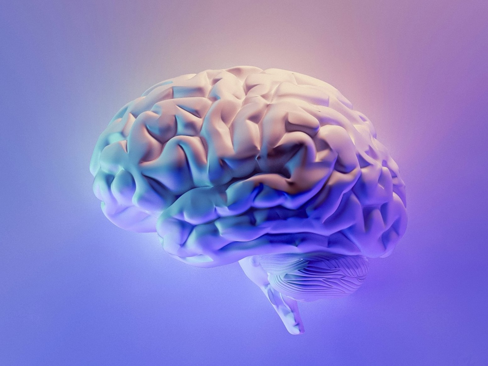 Department of Spanish and Portuguese scholars collaborate on project to ...