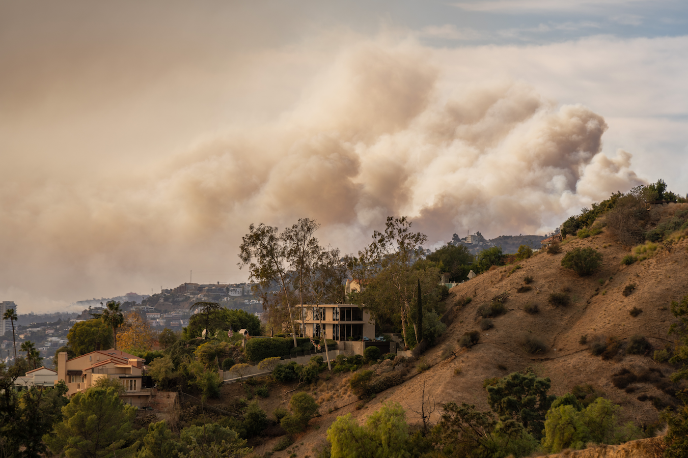 Wildfire response: Campus provides list of resources for evacuees – and ...
